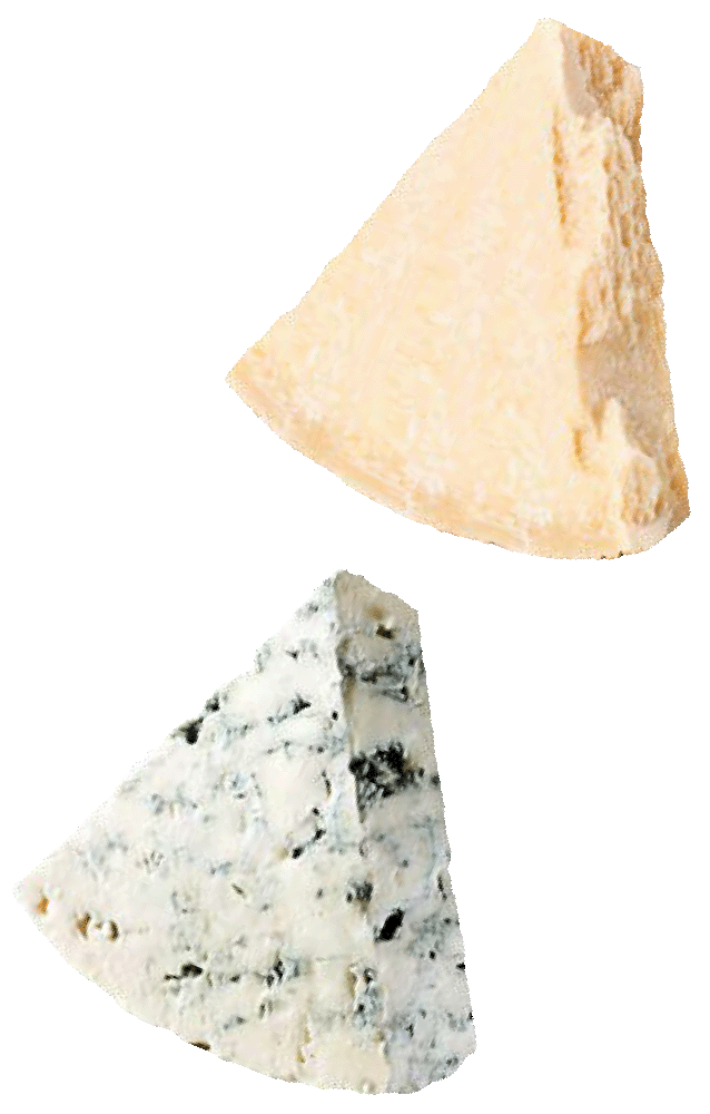 Home - Gelmini Macchine